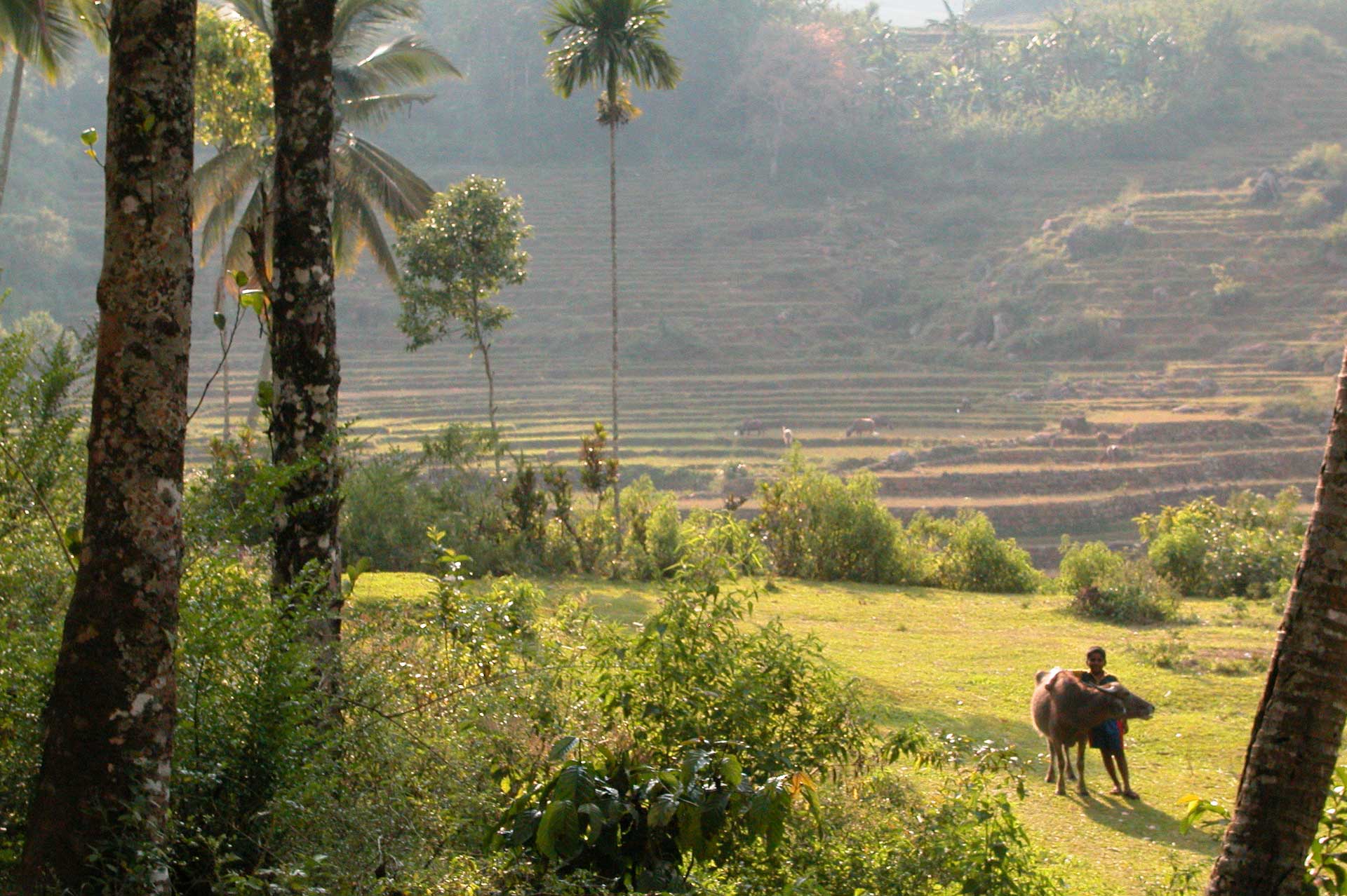 Maussawa Estate - Ecolanka est un lieu calme et magique