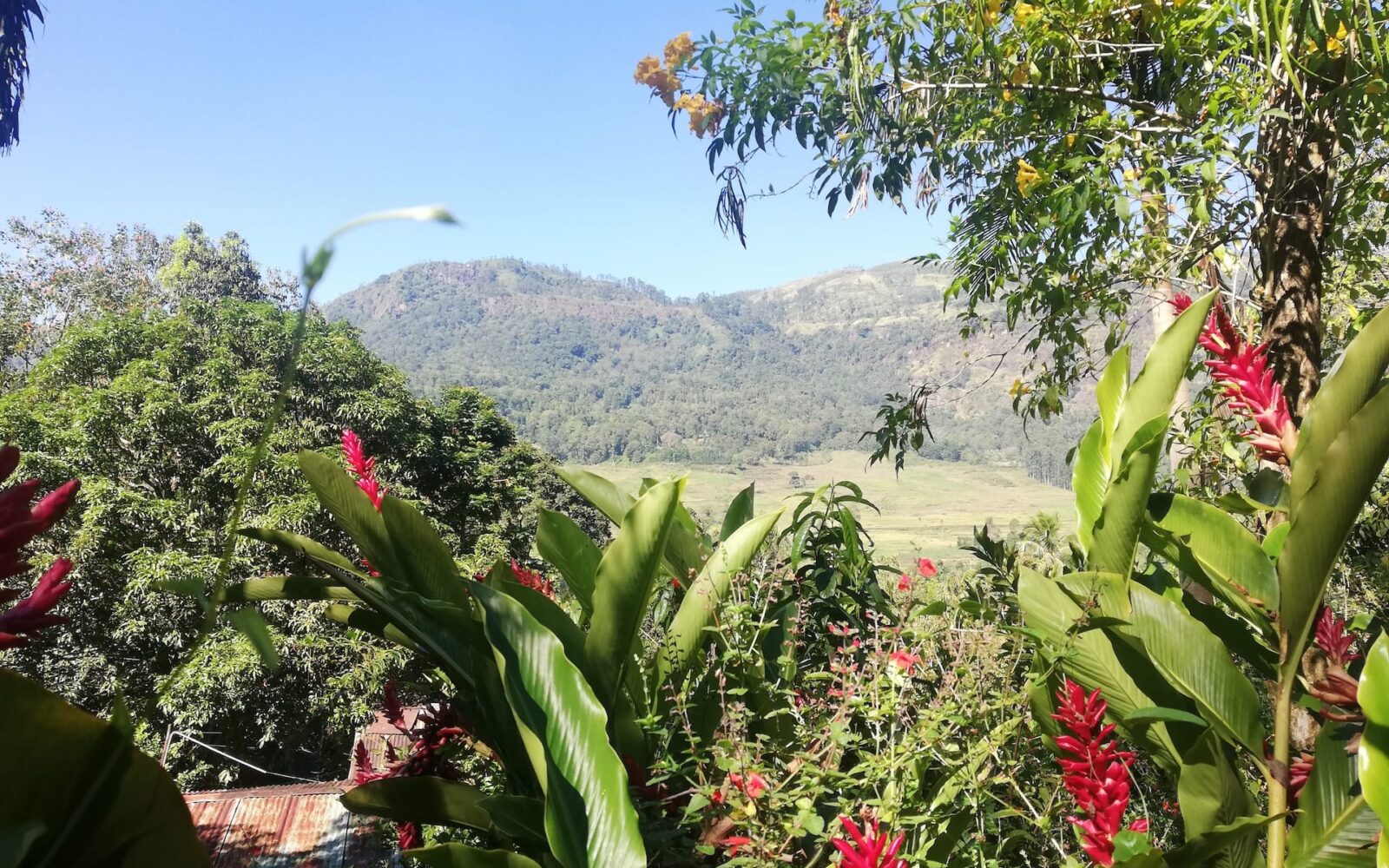 Ecolanka is an ecotourism site located in the heart of Sri Lanka