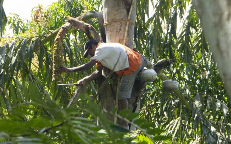 Ecolanka is an ecotourism site located in the heart of Sri Lanka