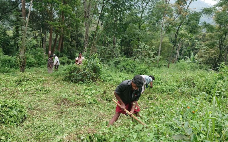 Ecolanka is an ecotourism site located in the heart of Sri Lanka