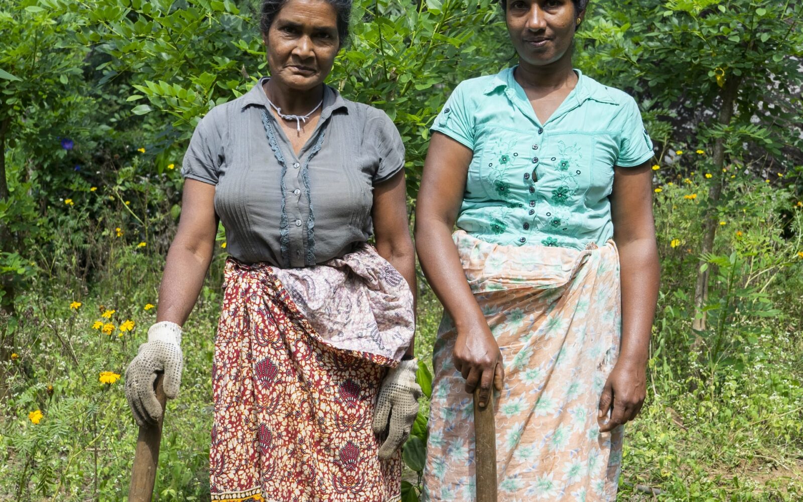 Ecolanka is an ecotourism site located in the heart of Sri Lanka