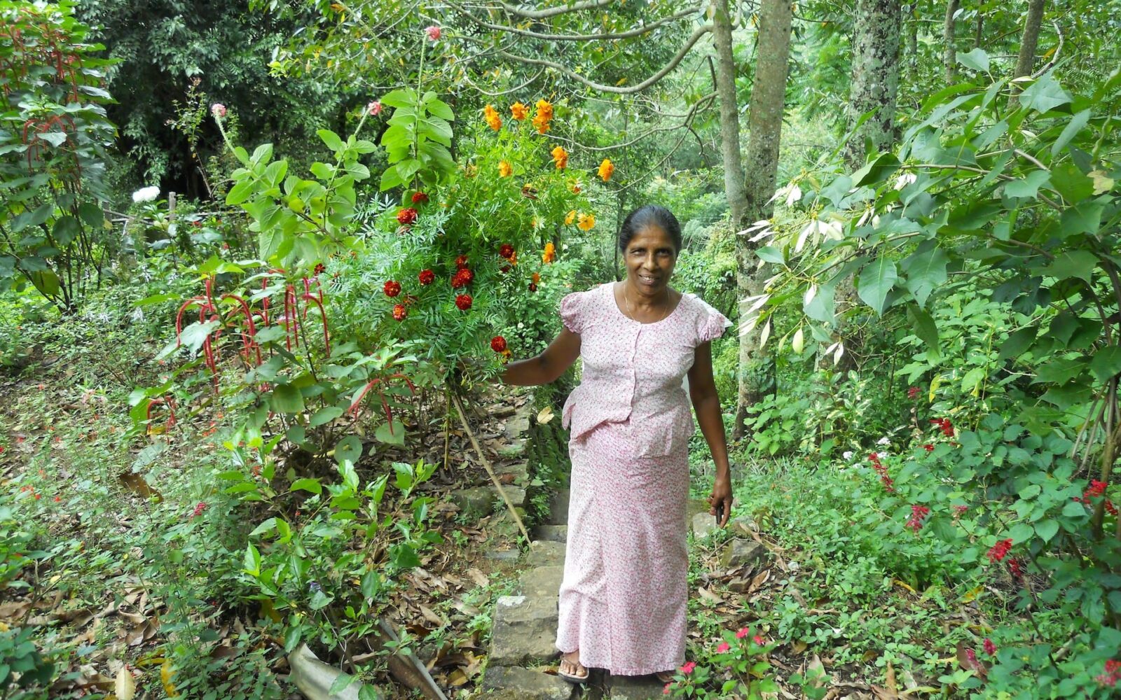 Ecolanka is an ecotourism site located in the heart of Sri Lanka