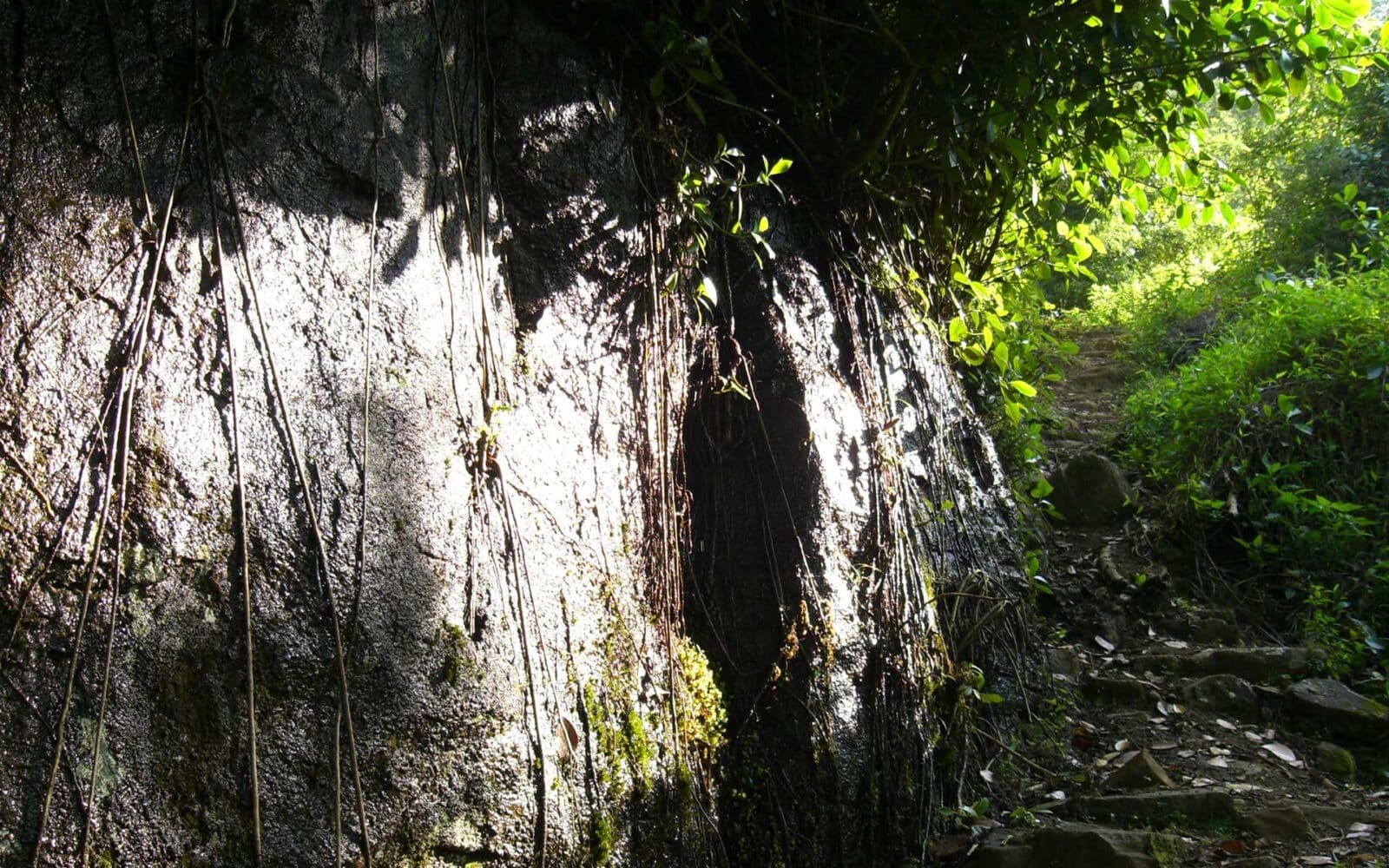 Maussawa Estate - Ecolanka est un lieu calme et magique
