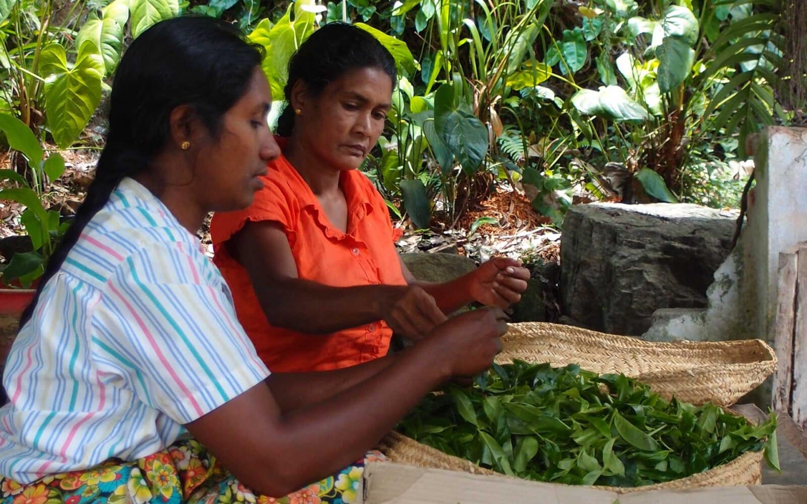 Maussawa Estate - Ecolanka est un lieu calme et magique