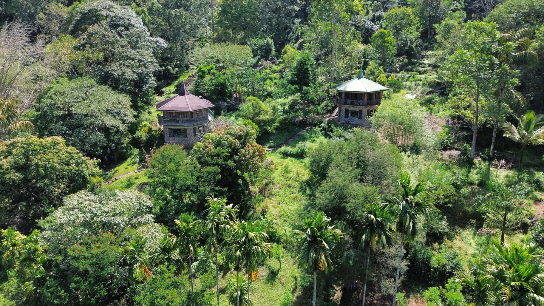 Maussawa Estate - Ecolanka est un lieu calme et magique