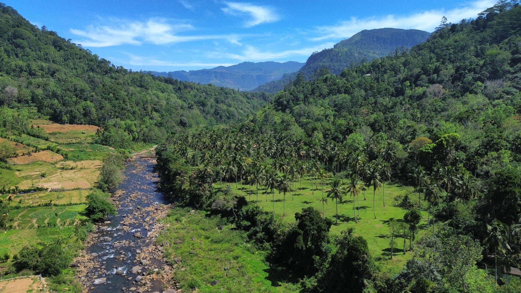 Maussawa Estate - Ecolanka est un lieu calme et magique